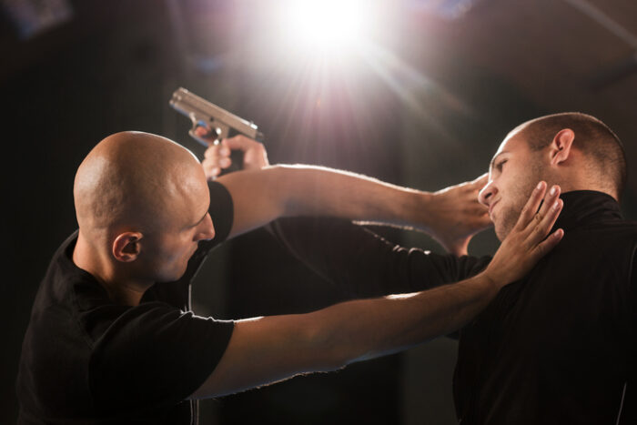 Training Services - Raptor Protection and Safety Services